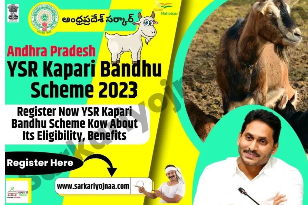 YSR Kapari Bandhu Scheme 2023: How to Apply Online, Eligibility, and ...
