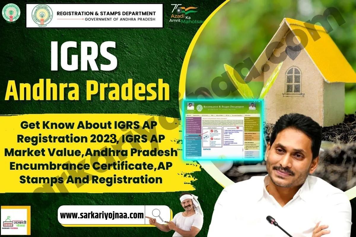 New Ration Card Rules 2025: फ्री राशन मिलना बंद, राशन कार्ड के नए नियम जारी