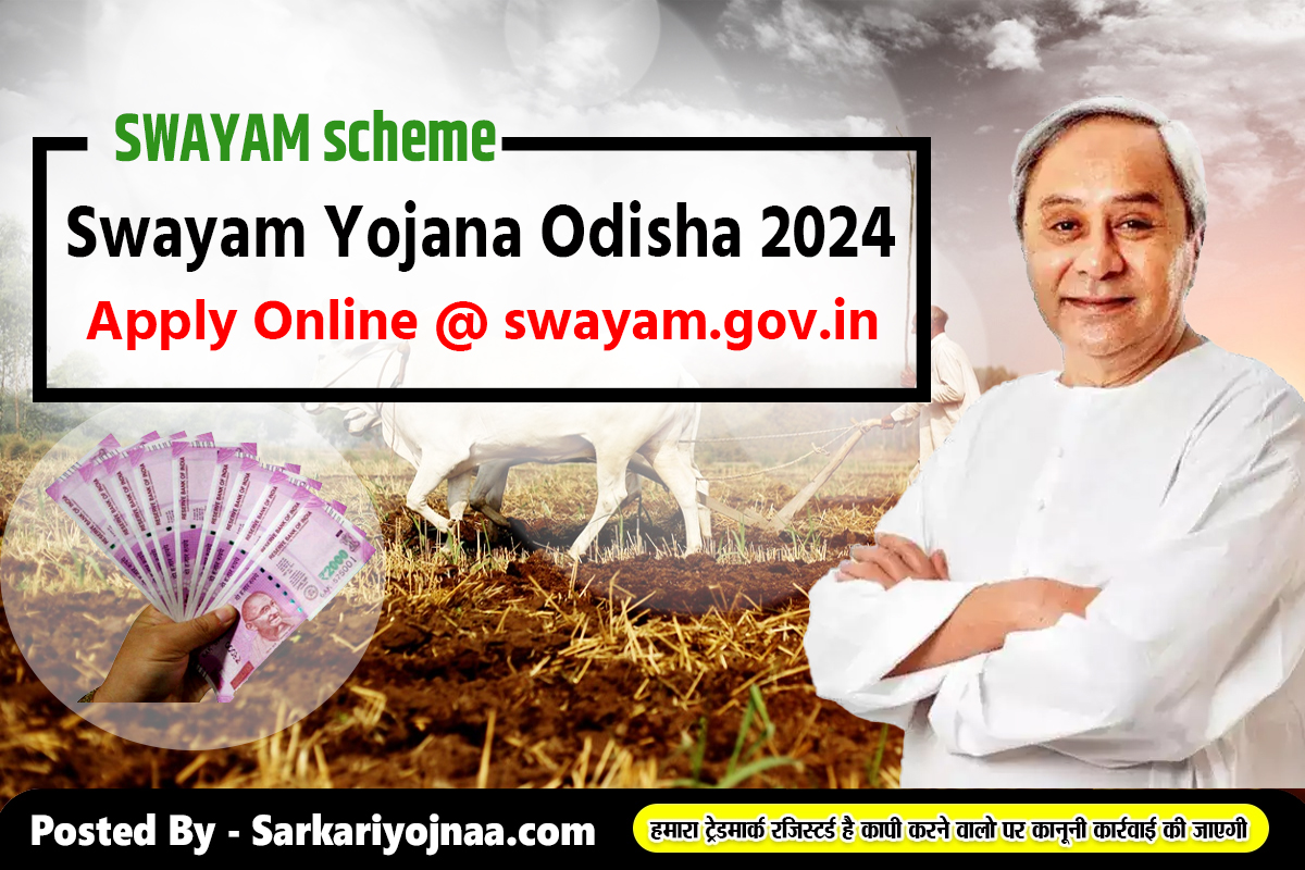 Swayam Yojana Odisha: Apply Now, Get ₹1 Lakh Funding | Apply Online