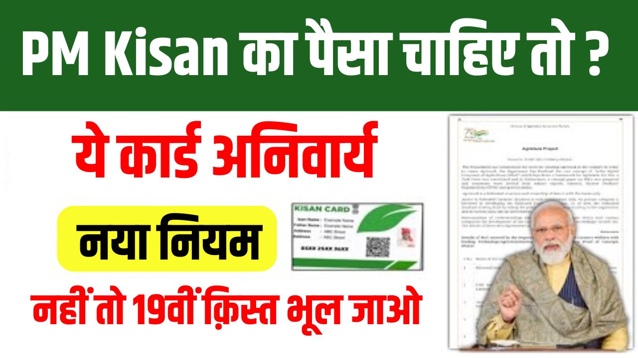 PM Kisan Farmer ID Card अब अनिवार्य! नहीं तो कोई लाभ नहीं मिलेगा, नहीं ...